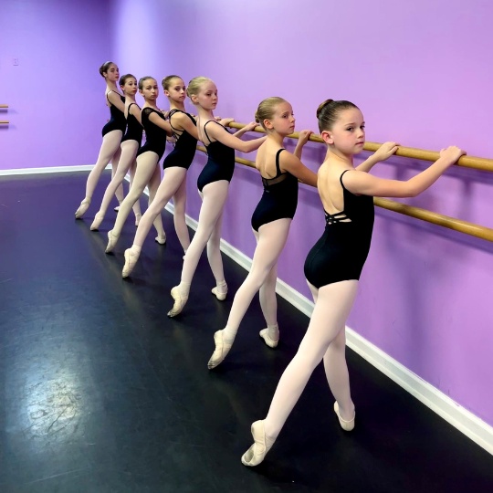 Classical Ballet Classes | Michigan Academy of Dance & Music ...